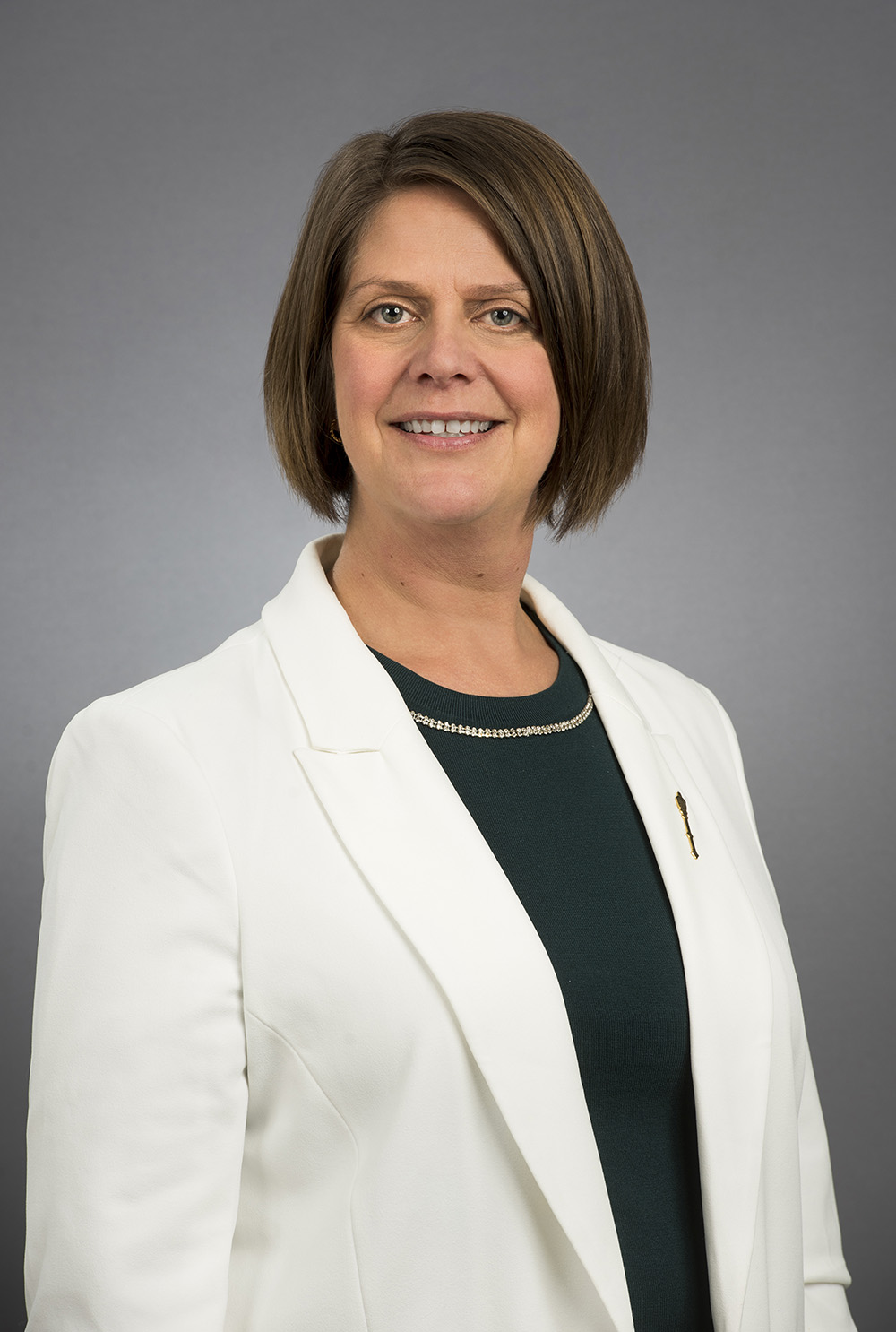 Standing Committee on Public Accounts - Legislative Assembly of New ...